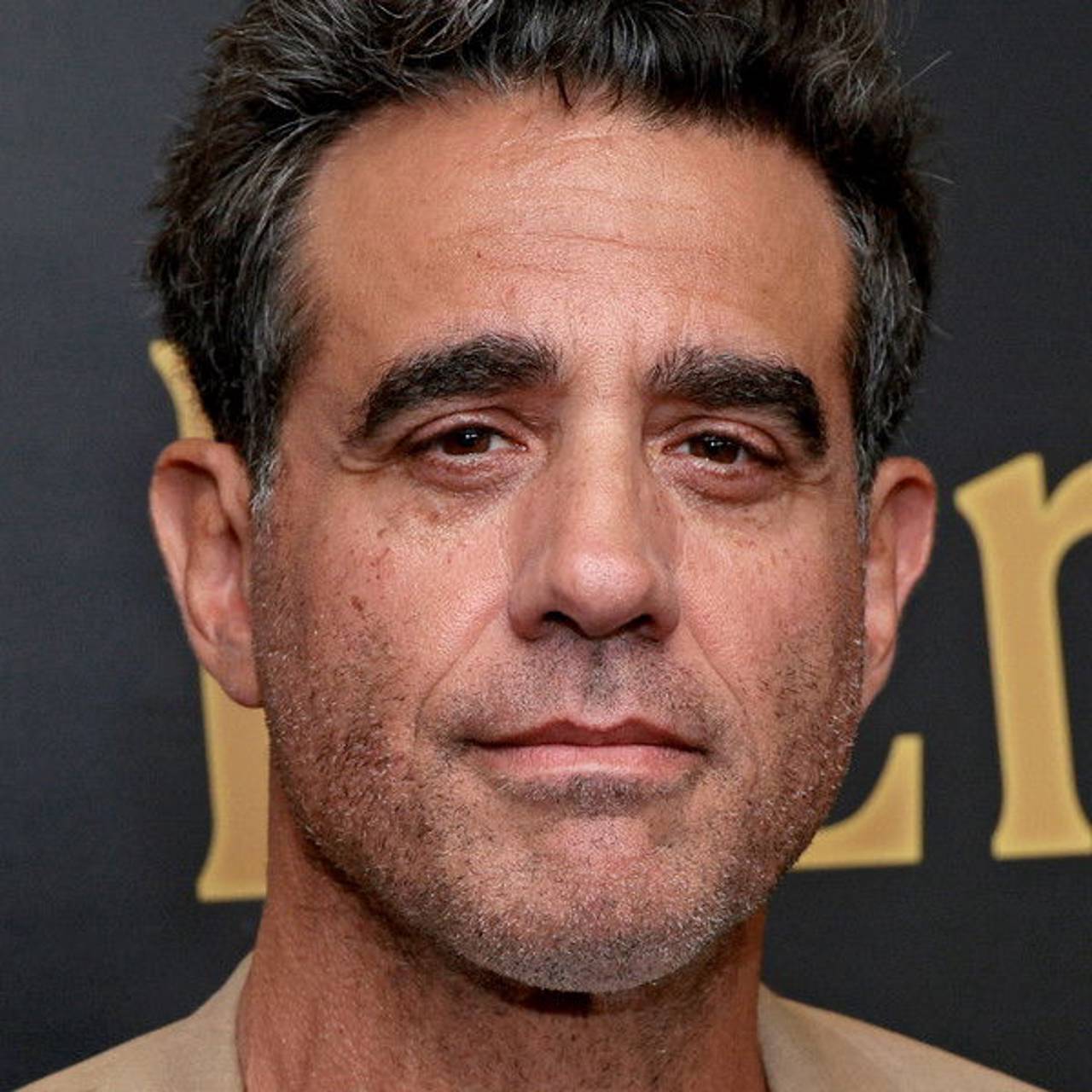Watch Bobby Cannavale's movies and TV series Online | Stream in HD on OSN+