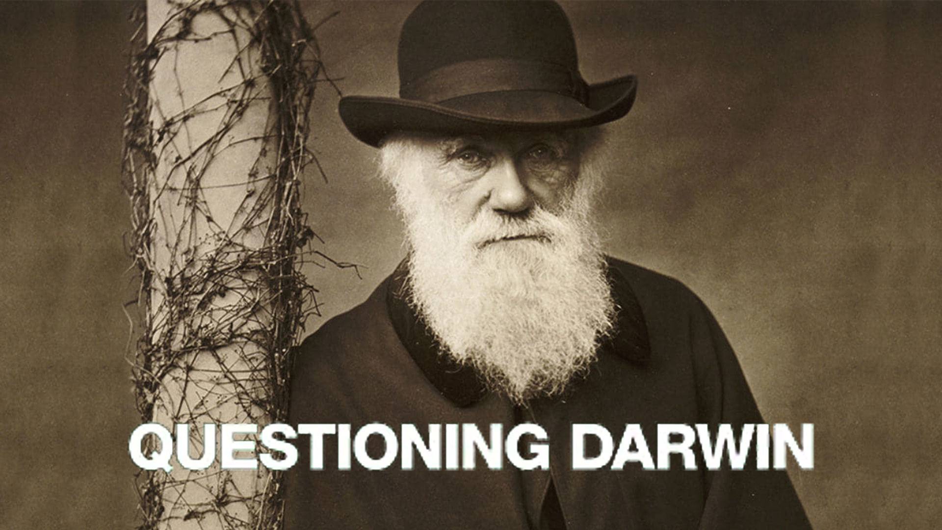 Watch Questioning Darwin Online | Available in HD on OSN+