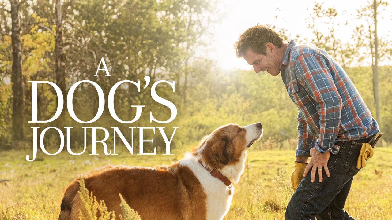 Watch A Dog's Journey movie Online on OSN+