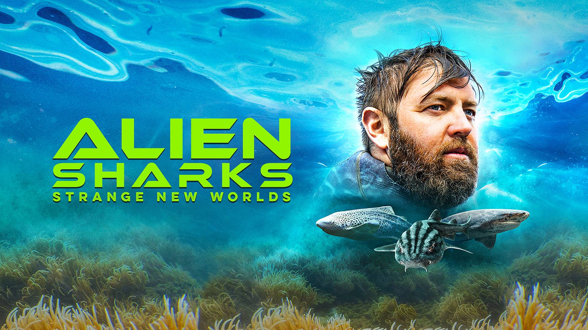 Watch Alien Sharks: Strange New Worlds movie Online on OSN+