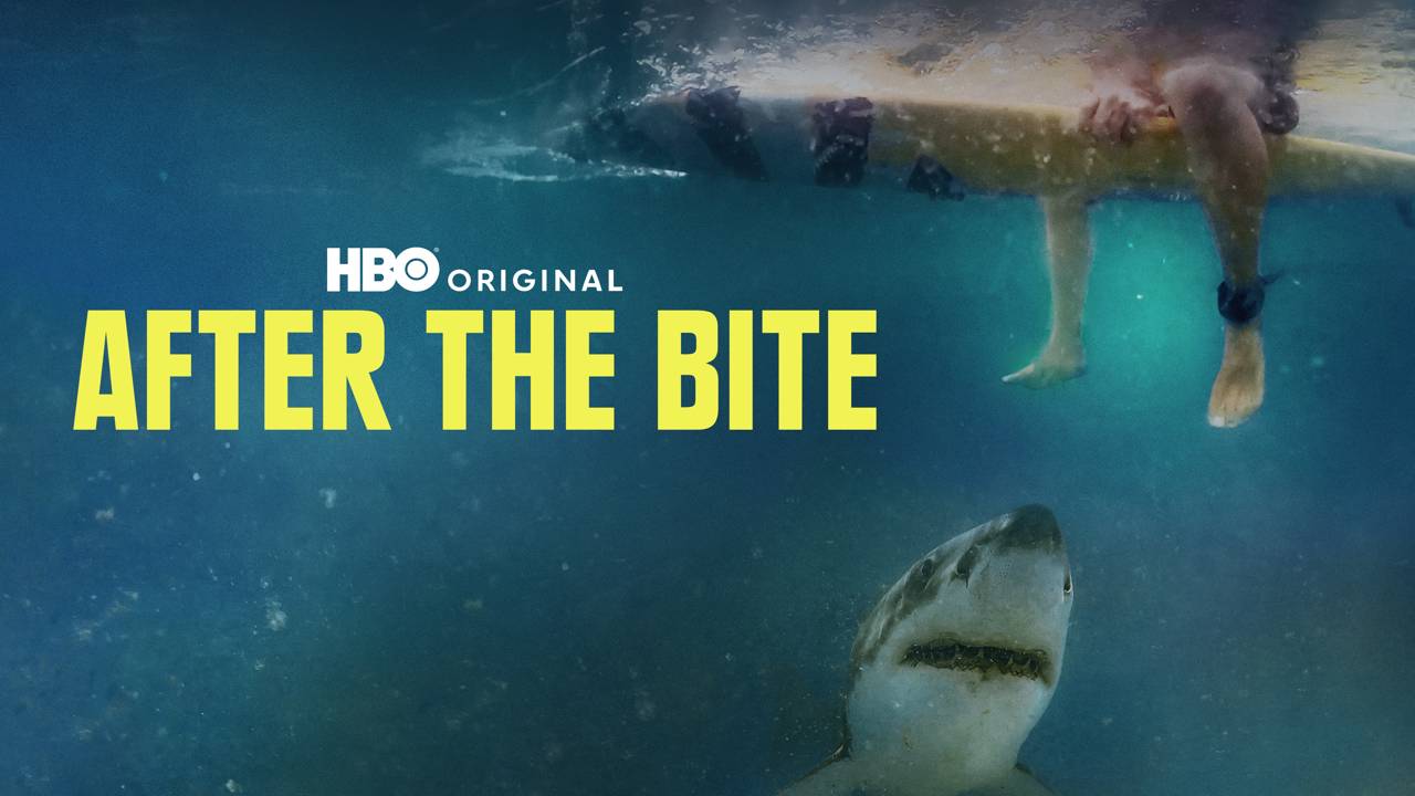 Watch After The Bite movie Online on OSN+