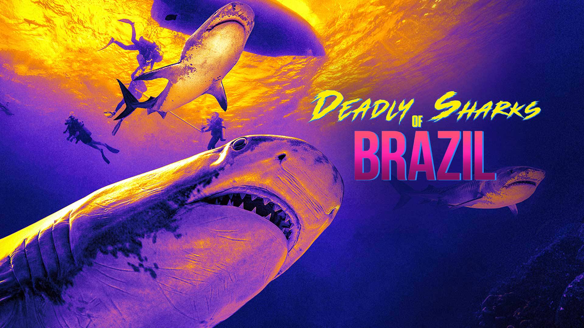Watch Deadly Sharks Of Brazil Online | Available in HD on OSN+