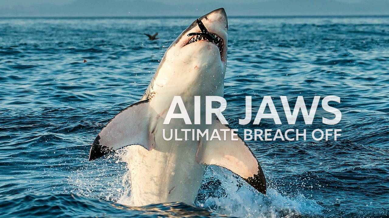 Watch Air Jaws: Ultimate Breach Off movie Online on OSN+