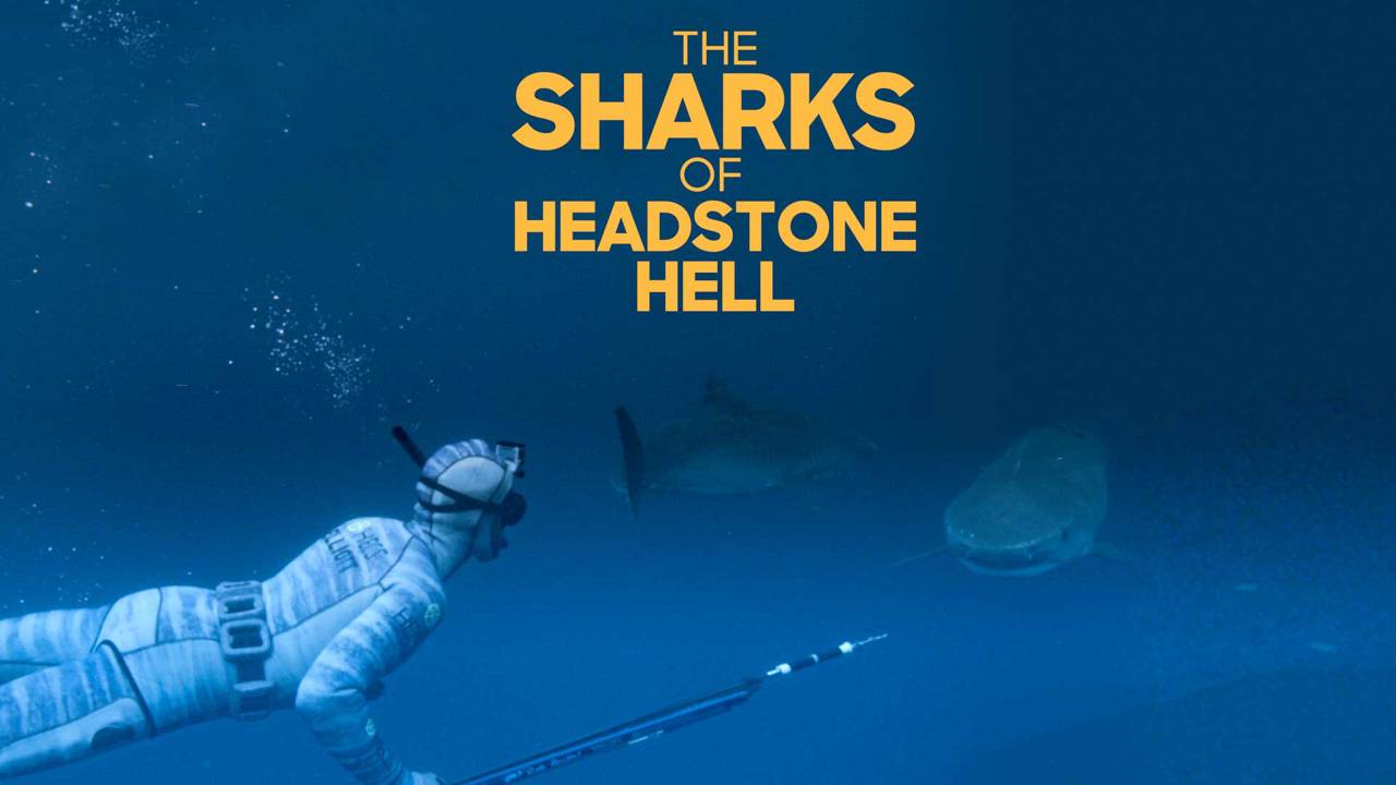 Watch Headstone Hell movie Online on OSN+