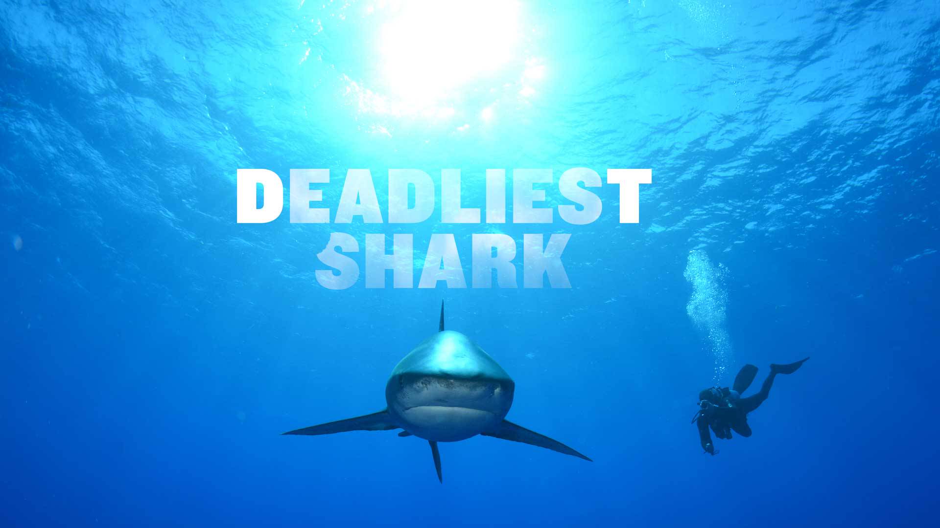Watch Deadliest Sharks movie Online on OSN+