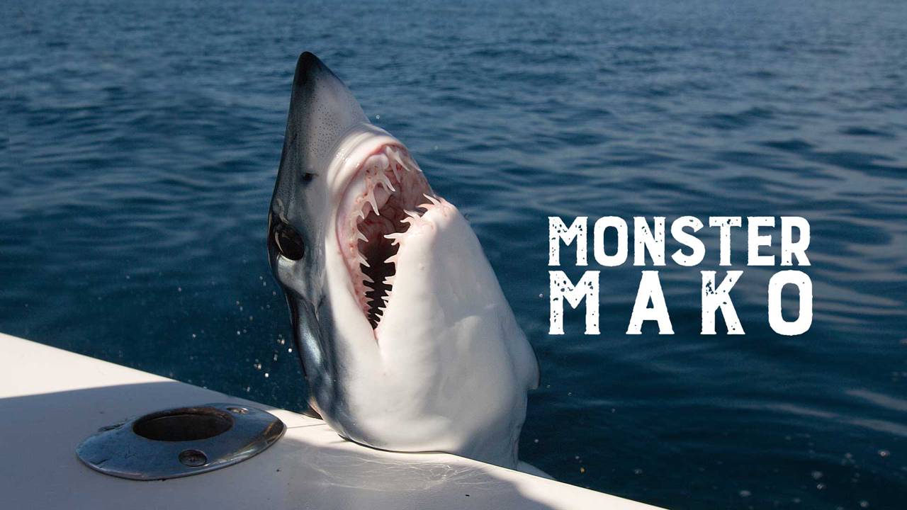 Watch Monster Mako movie Online on OSN+