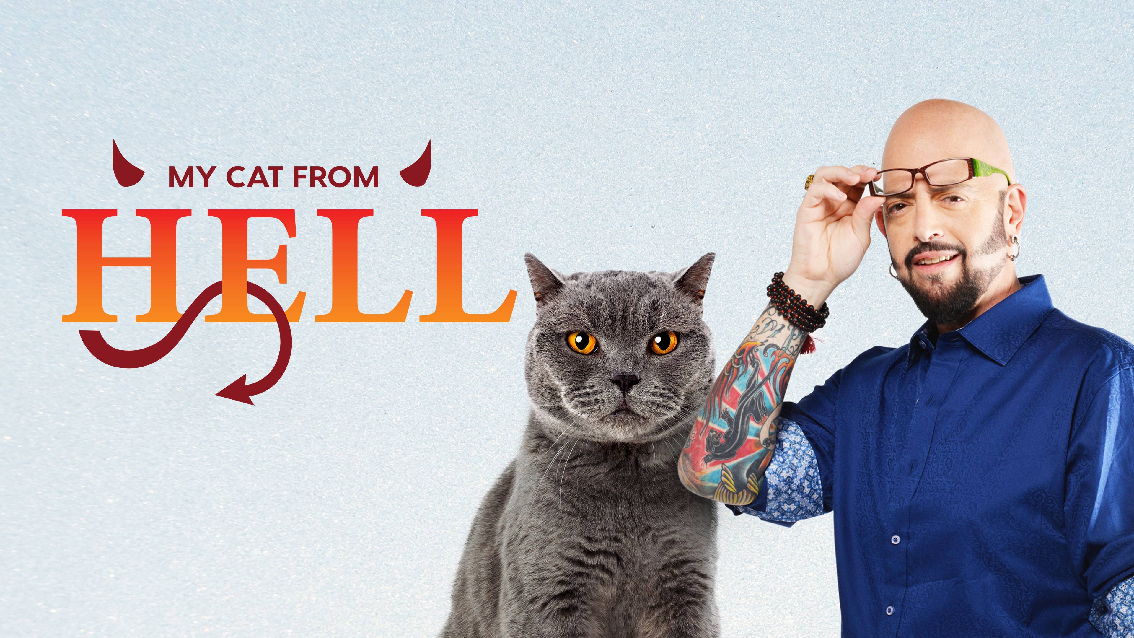 Watch My Cat From Hell Season 8 Episode 5 Online | Available in HD on OSN+